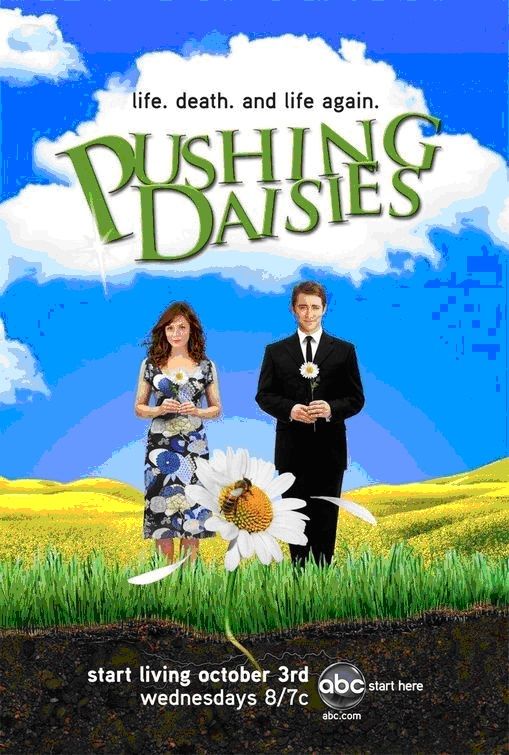 PUSHING DAISIES - Spietati - Recensioni e Novità sui Film
