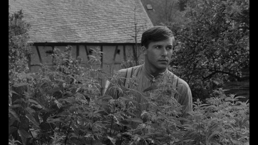 HEIMAT - Spietati - Recensioni e Novità sui Film